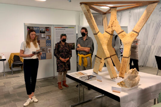 MycoTree in the Natural History Museum in Karlsruhe | Professur ...